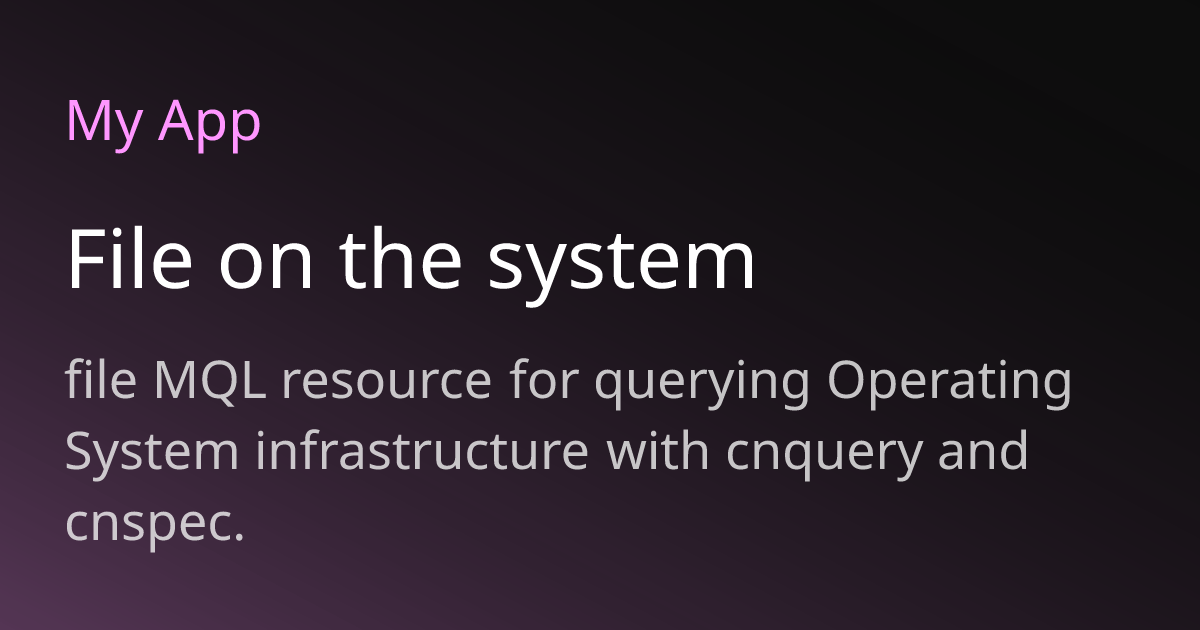 File on the system | Mondoo Docs